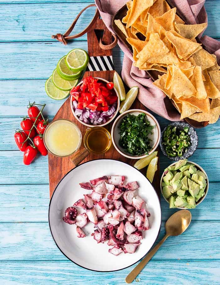 Octopus Ceviche • Tasty Ceviche De Puplo • Two Purple Figs